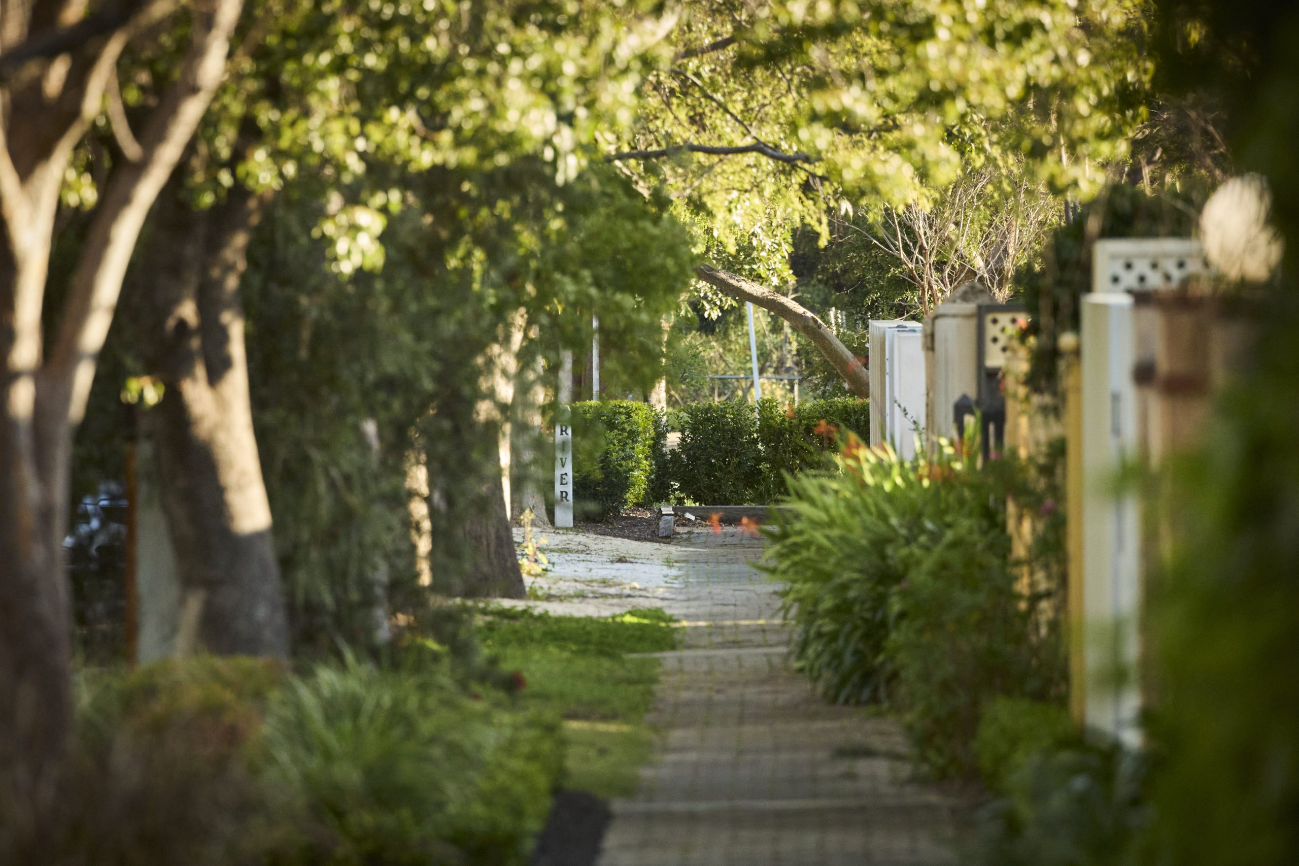 Homes leased in Joslin - Ray White St Peters